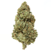 Purple Tangie THCA | Botany Farms